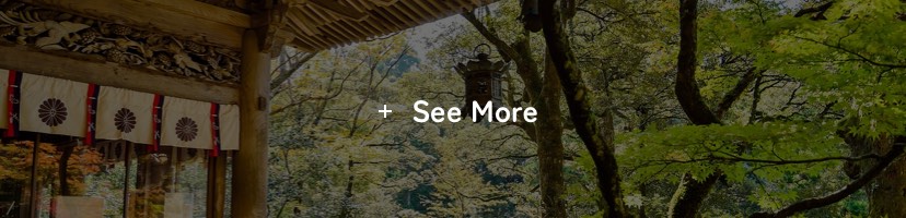 Kinoko Club Concierge